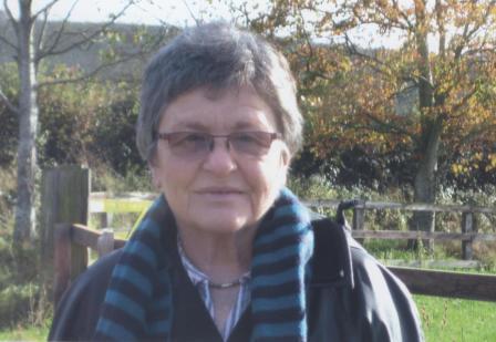 Volunteers and Communications – Meath Field Names Project